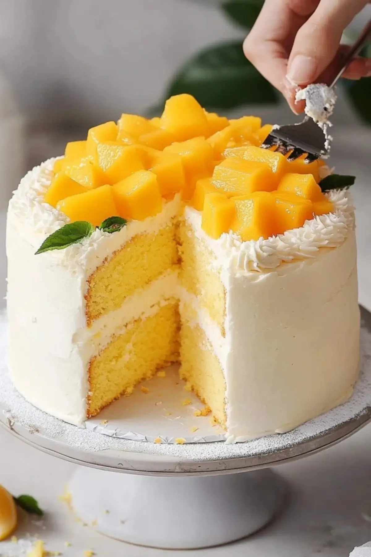 Mango Cake - Superb Recipe
