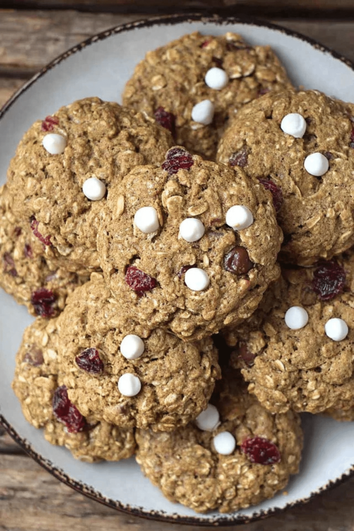 Vegan Oatmeal Cranberry Cookies with Chocolate Chips - Superb Recipe